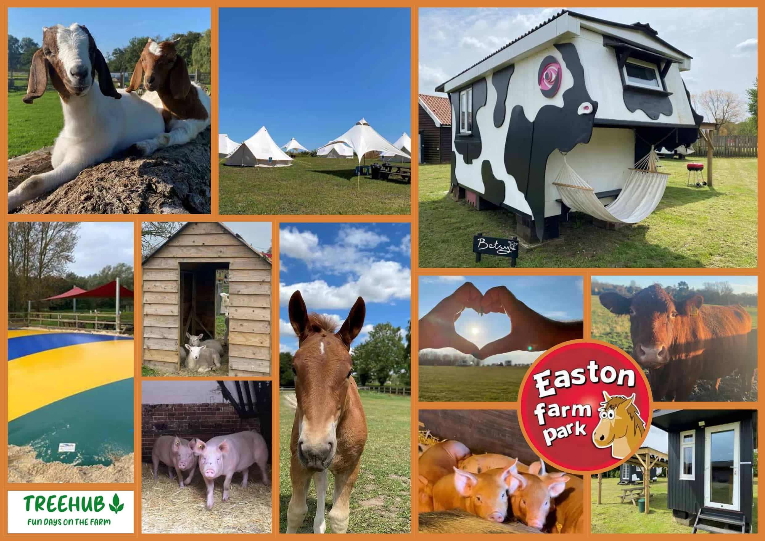 Farmyard fun with Easton Farm Park · Eequ