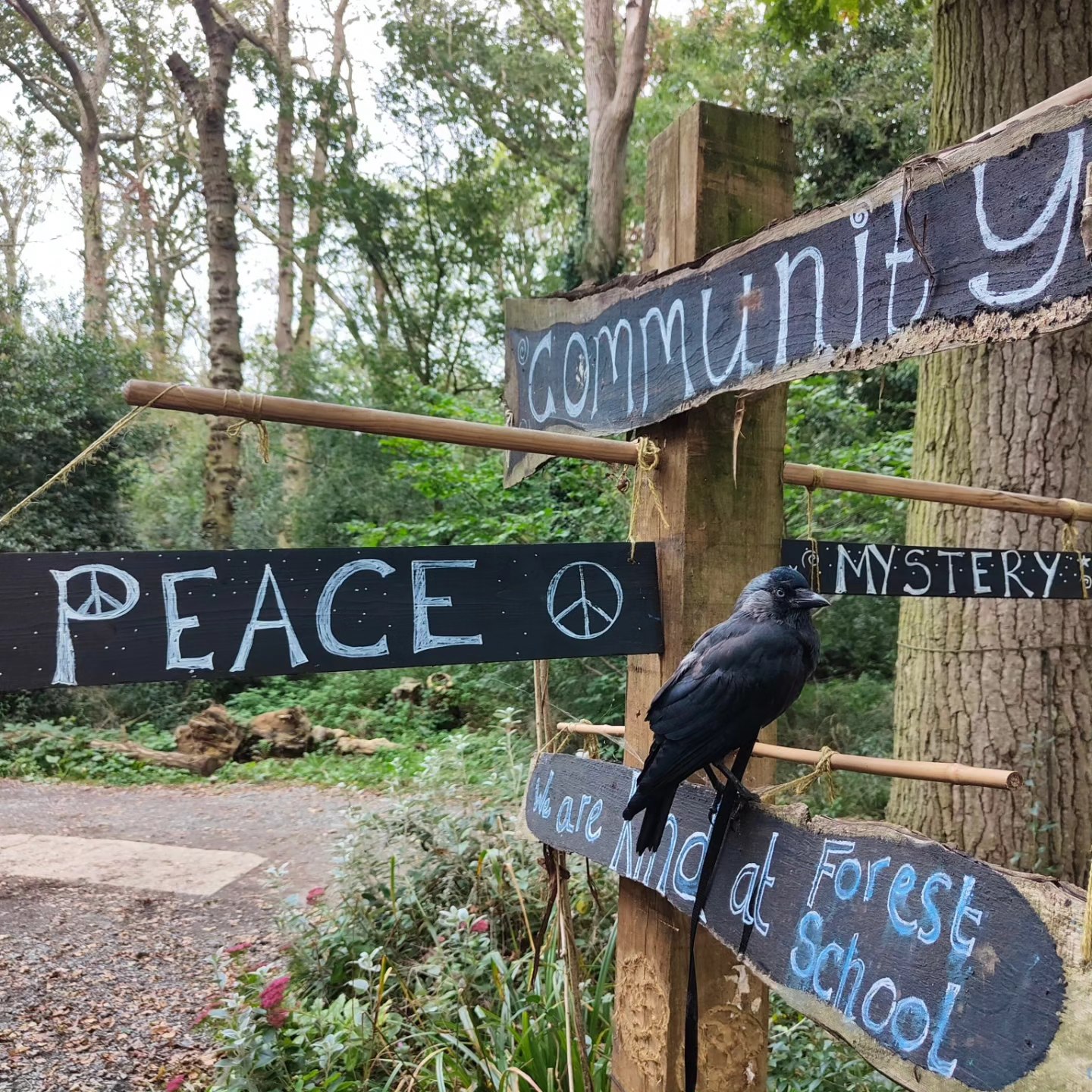 The Invisible Architecture with Nic Harding · Eequ