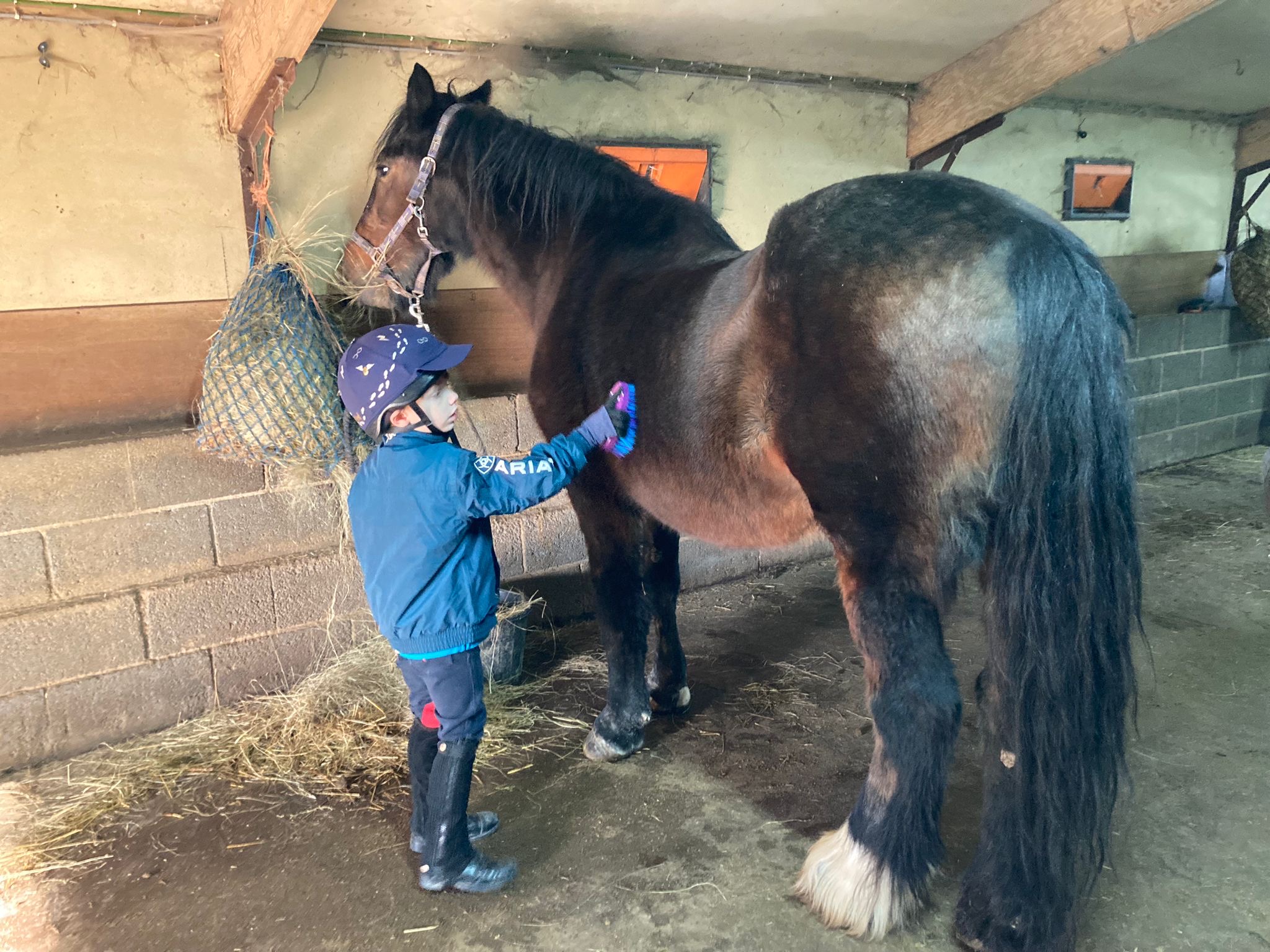 1-1 SEND activities at SAFE Equestrian with Safe Equestrian - Learning ...