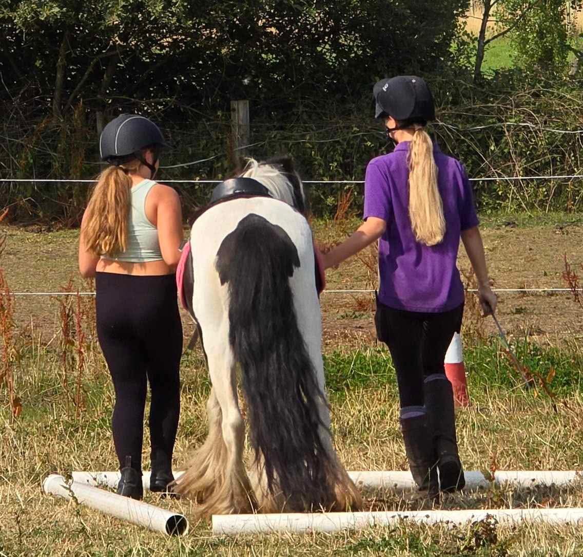 SAFE Equestrian's SUMMER HAF ACTIVITES with Safe Equestrian - Learning ...
