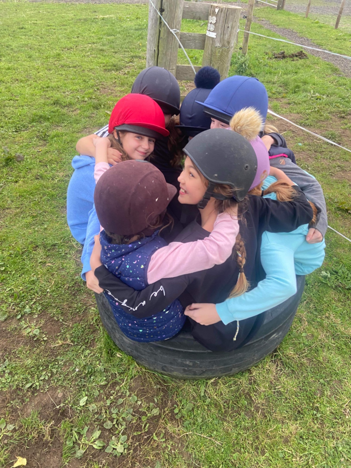 SAFE Equestrian's SUMMER HAF ACTIVITES with Safe Equestrian - Learning ...