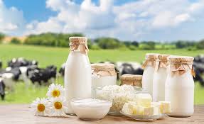All About Dairy with Let Us Play Wolverhampton · Eequ