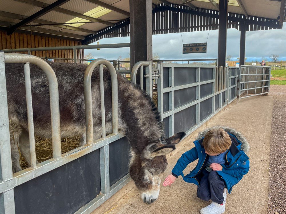 Action for Children Family Amerton Farm with Action for Children · Eequ